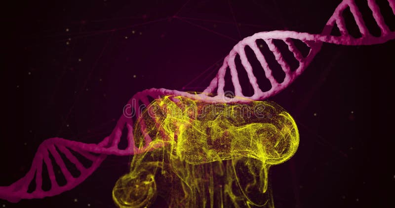 Image of Yellow Shapes Moving Over Dna Strand Stock Illustration ...