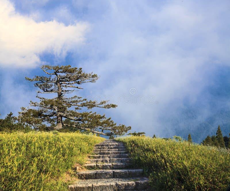 Imageing of Beautiful Landscape of the Sky and the Ground View Stock ...