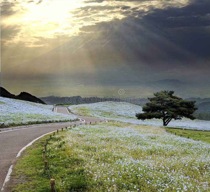 Imageing of Beautiful Landscape of the Sky and the Ground View Stock ...