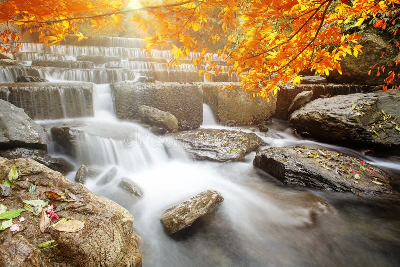 Imageing of Nice Water with Maple Compose a Beautiful View Stock Image ...