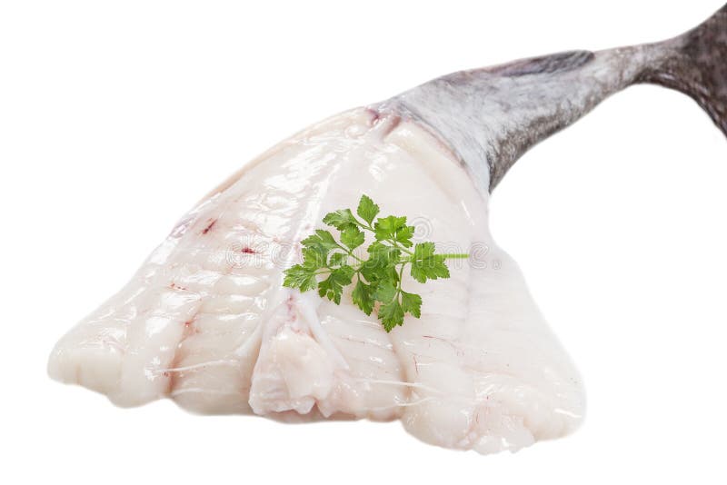 Monge Fish - Costoleta Do Tamboril Branco Imagem de Stock - Imagem de ...