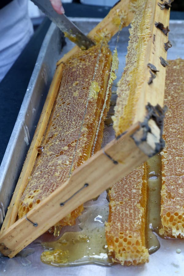 Imagen De Colmena De Abejas Imagen de archivo - Imagen de colonia ...