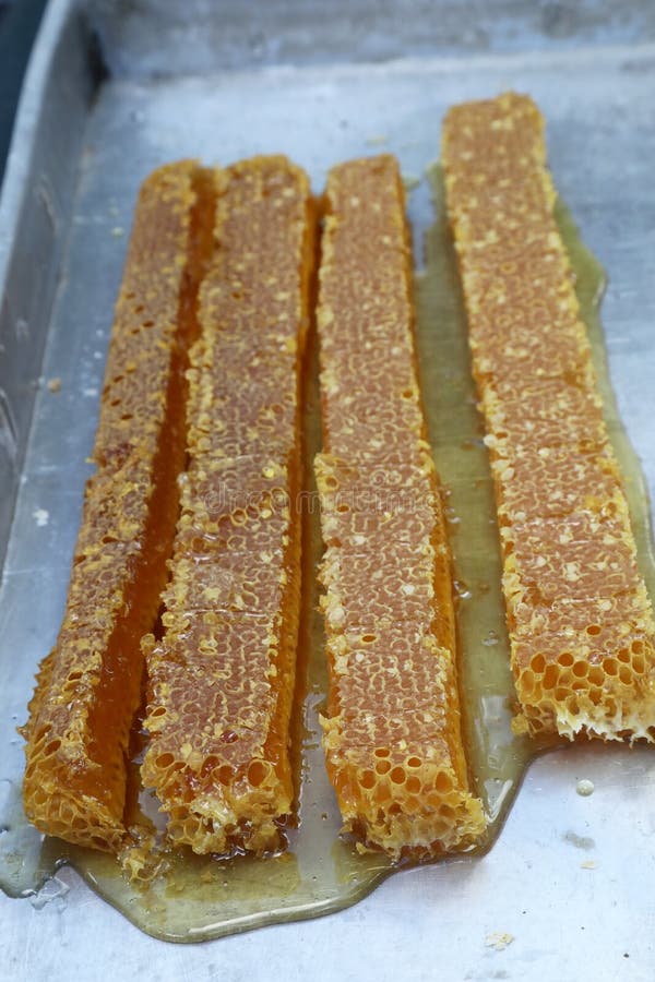 Imagen De Colmena De Abejas Imagen de archivo - Imagen de insecto ...