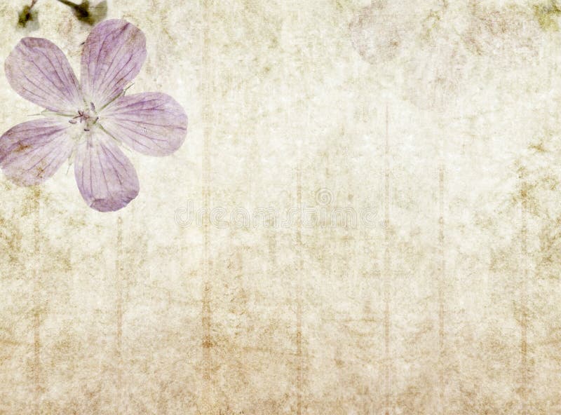 Imagen de fondo terrosa stock de ilustración. Ilustración de hojas ...