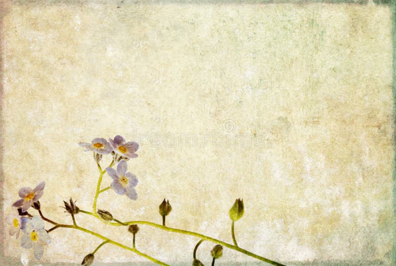 Imagen de fondo terrosa stock de ilustración. Ilustración de hojas ...