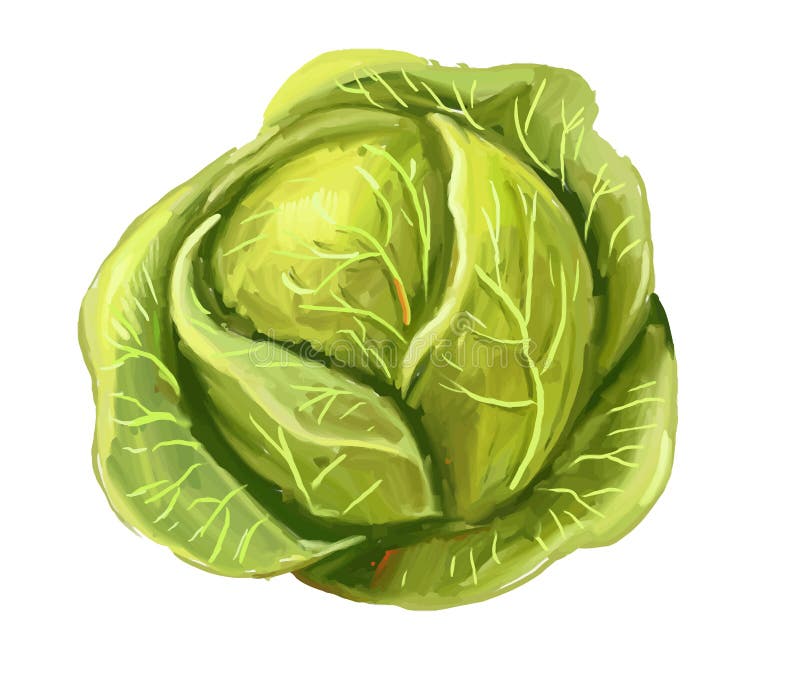 Col Ilustraciones Stock, Vectores, Y Clipart – (23,683 Ilustraciones Stock)