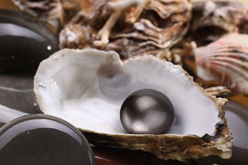 Perlas Del Placer De La Imagen En Un Shell Foto de archivo - Imagen de ...