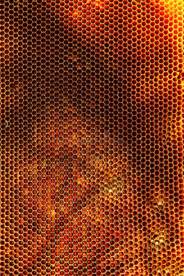 Imagen Del Panal Background Imagen de archivo - Imagen de shape, panal ...