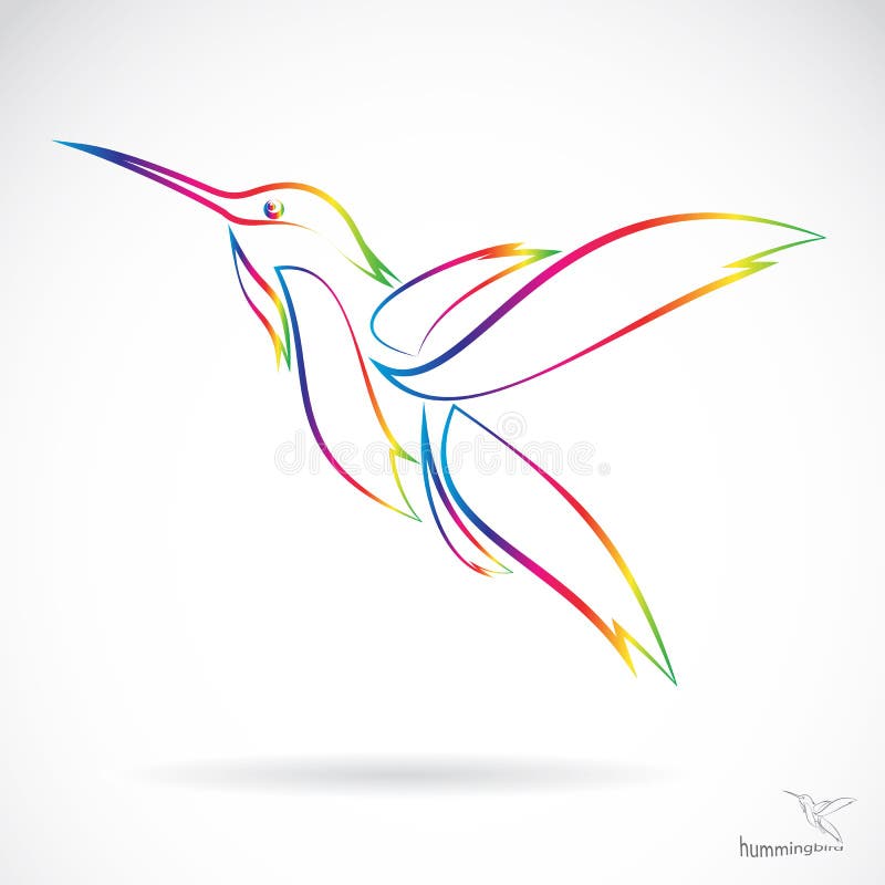 Imagen Del Vector De Un Colibrí Ilustración del Vector - Ilustración de ...