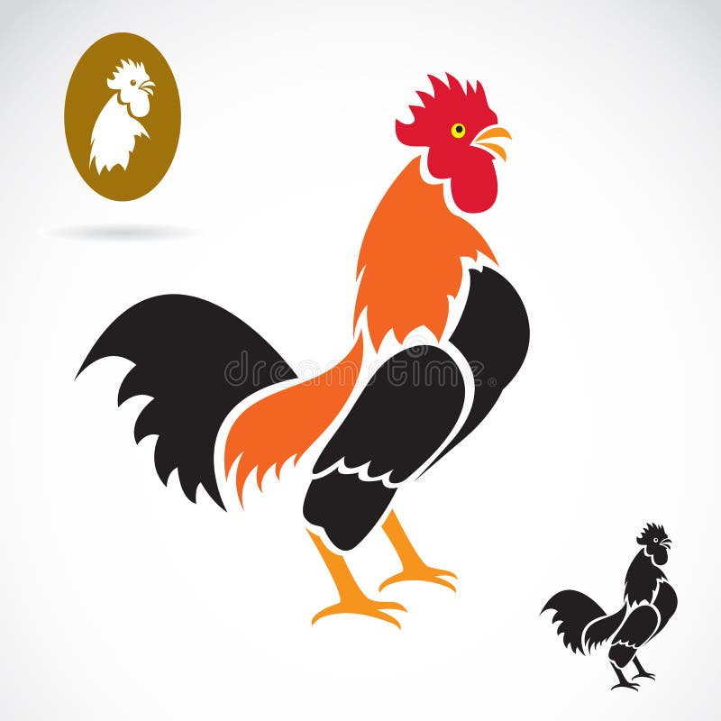 Imagen Del Vector De Un Gallo Ilustración del Vector - Ilustración de ...