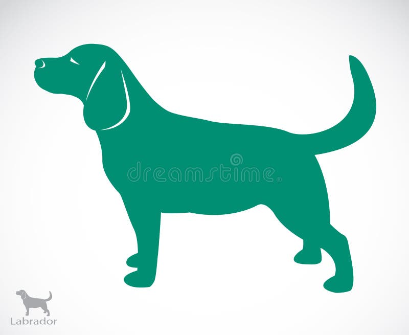 Imagen Del Vector De Un Perro Labrador Ilustración del Vector ...
