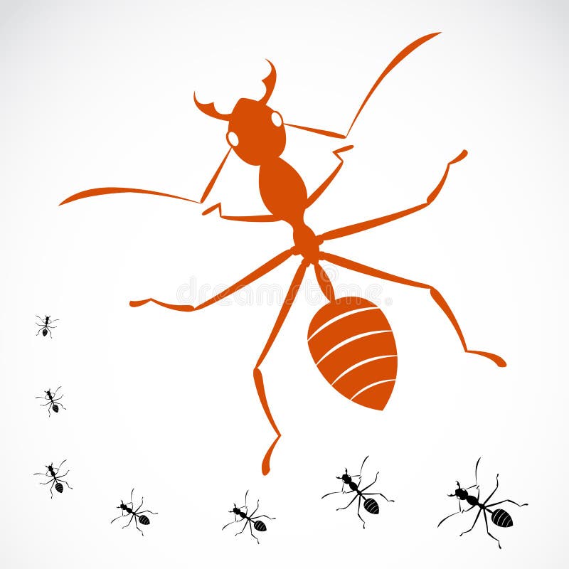 Imagen Del Vector De Una Hormiga Ilustración del Vector - Ilustración ...