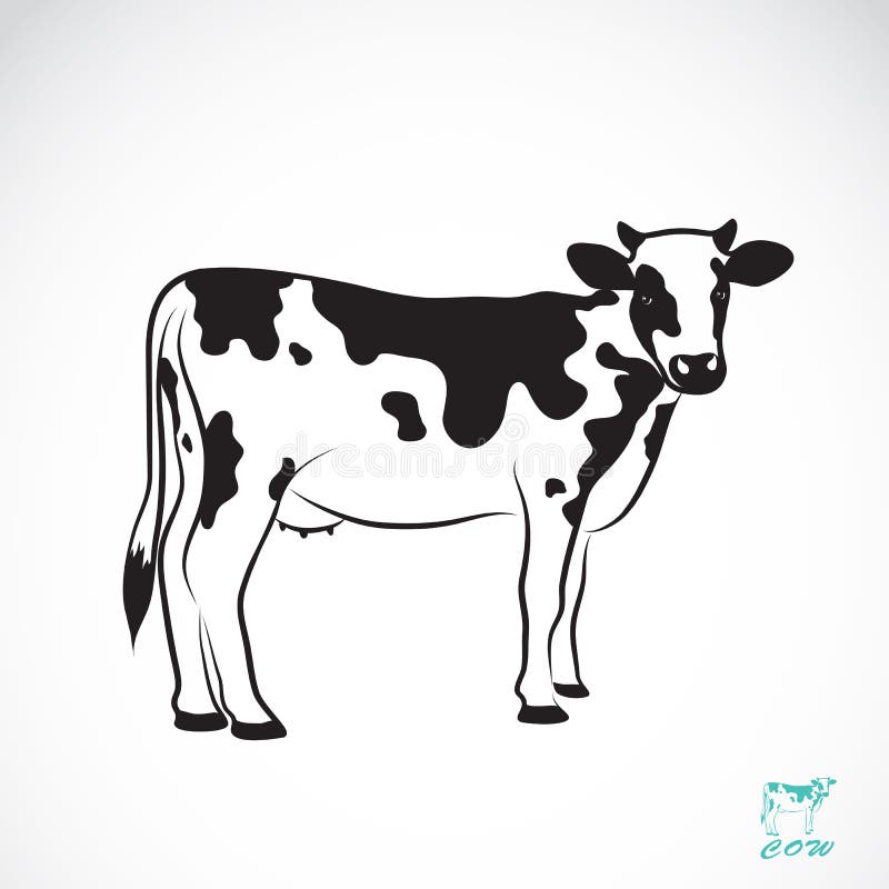 Imagen Del Vector De Una Vaca Ilustración del Vector - Ilustración de ...