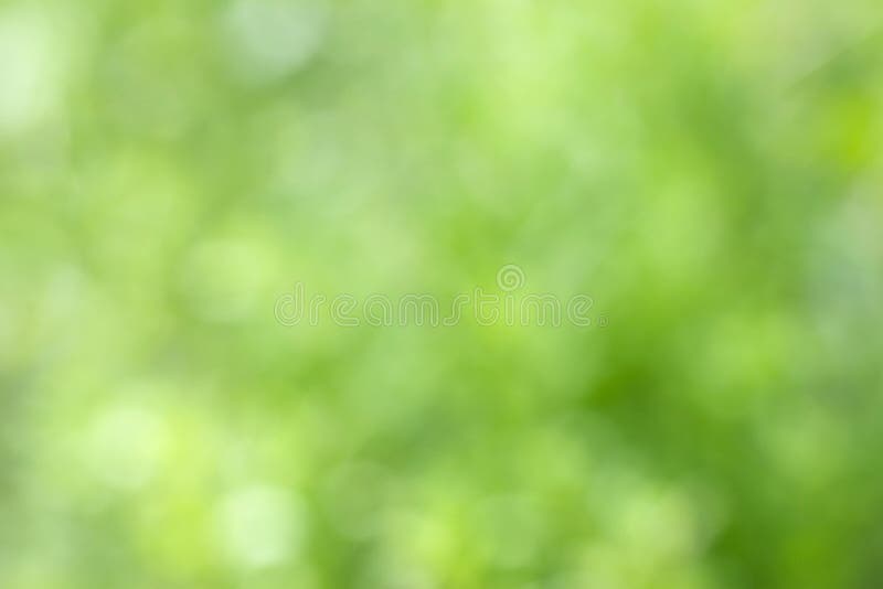 Imagen verde fresca imagen de archivo. Imagen de sensatez - 14314297