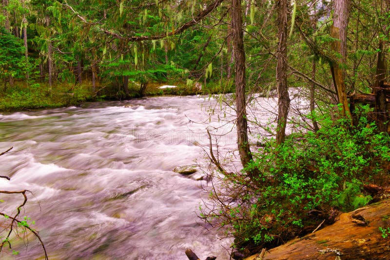 The Gurgling of Small Rapids Stock Photo - Image of streams, long: 79890200
