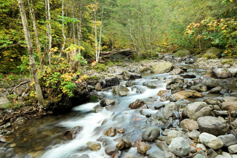 The Gurgling of Small Rapids Stock Image - Image of streams, rapids ...