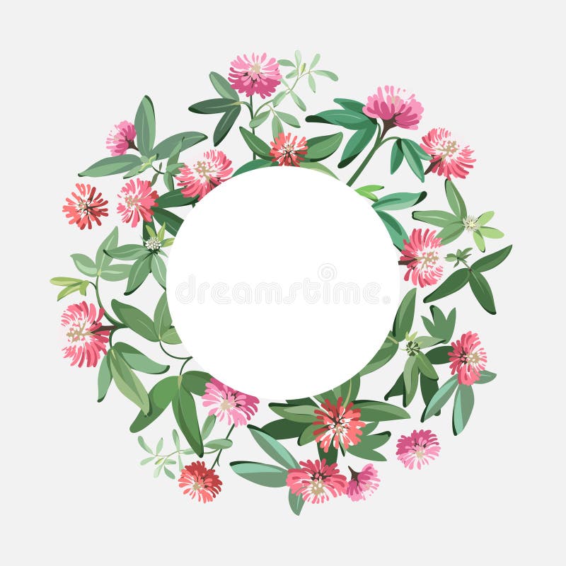 Flowers - Pink Clover on the Light Background. Summer Illustration ...