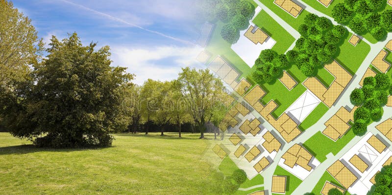 Imaginary City Map of Territory with Public Park, Meadow and Trees ...