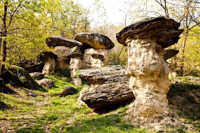 Imaginative Forest Landscape Stock Photo - Image of mountain, outdoors ...