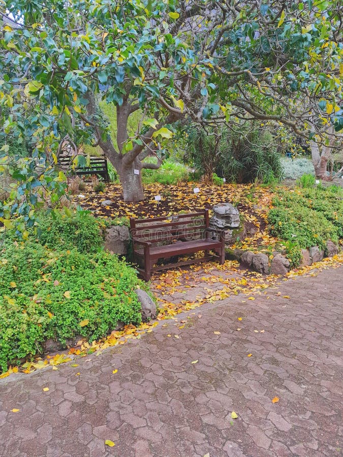 Imagine a World Beyond the Green Stock Photo - Image of walkway, shrub ...