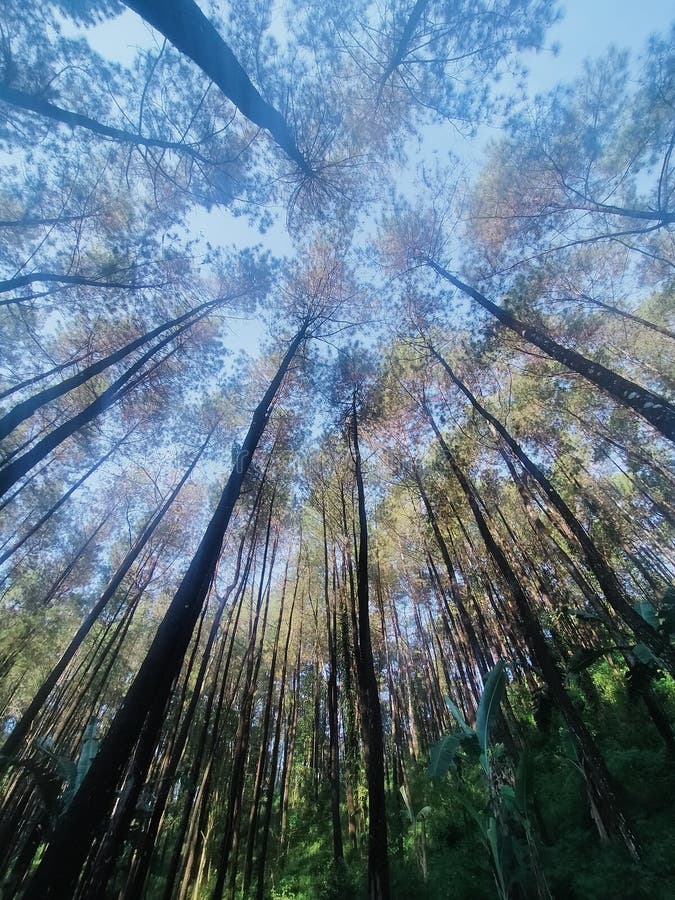 Imagine when You Stay in this Place is Full of Peace and Harmony Stock ...