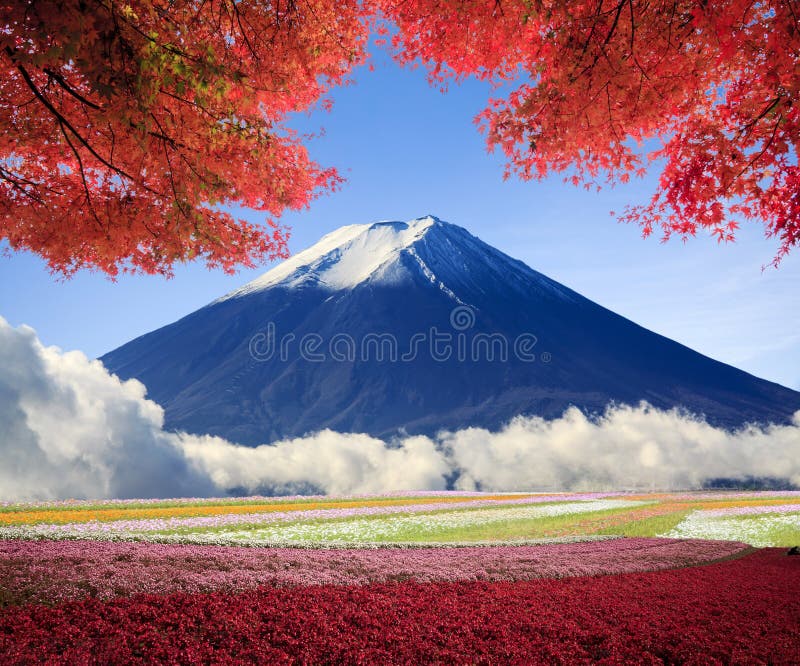 Imaging of Beautiful Landscape with Nice Nature Color Stock Photo ...