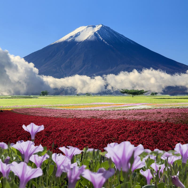 Imaging of Beautiful Landscape with Nice Nature Color Stock Photo ...