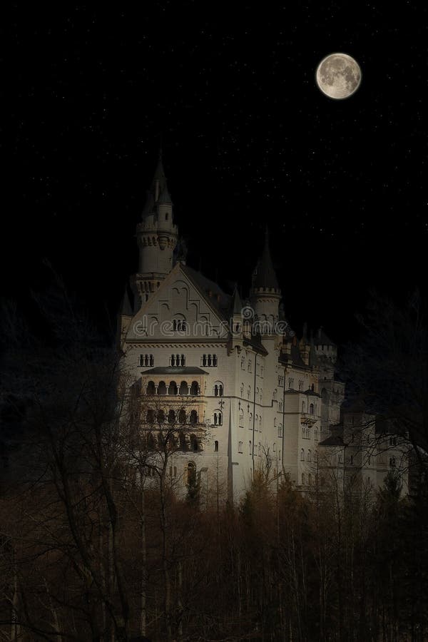 Neuschwanstein Castle in Moonlight Stock Photo - Image of tourist ...