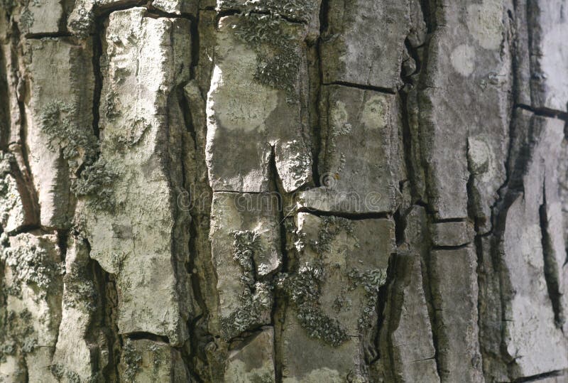 Paulina94 - Photographer profile