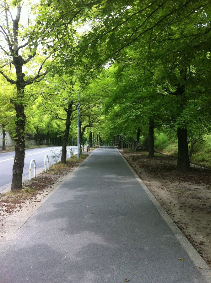 Beautiful Clean Pedestrian Street for Cycle Path and Pedestrian Stock ...