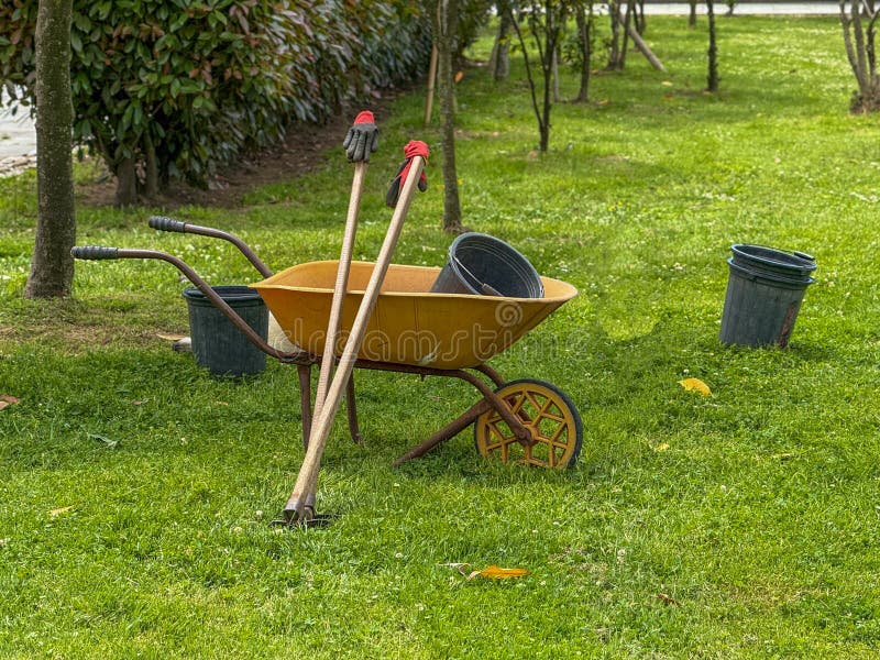 Gardening Tools and Wheelbarrow in Green Park Setting Stock Image ...