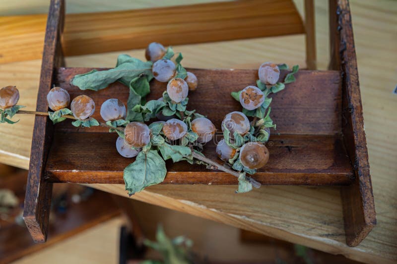 Whitish Substance Stock Photos - Free & Royalty-Free Stock Photos from ...