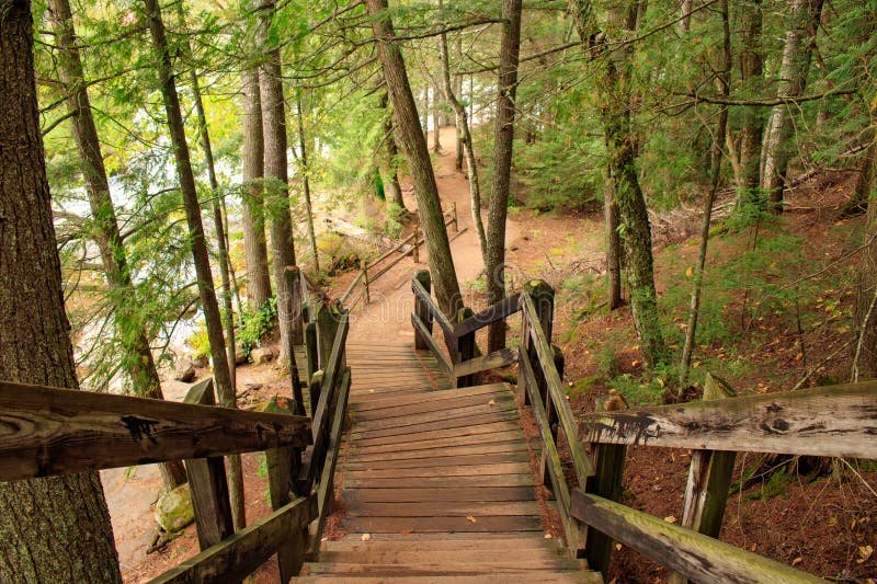 11,036 Michigan Forest Stock Photos - Free & Royalty-Free Stock Photos ...