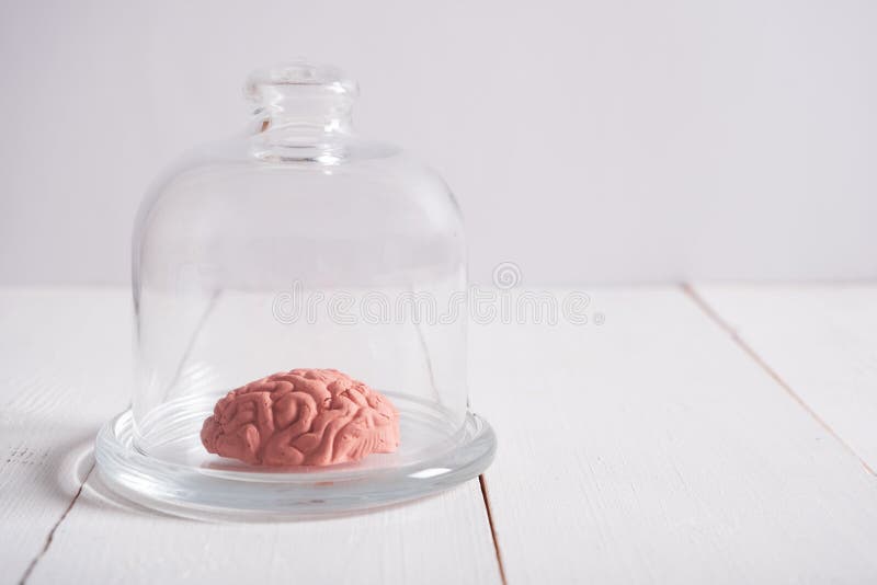Imitation of a Brain Made of Plaster Under a Glass Cap. Halloween ...