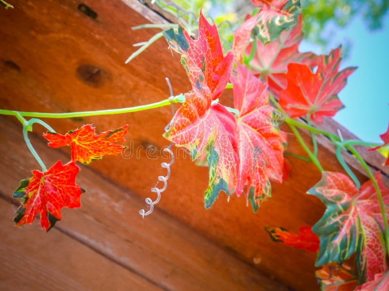 Minecraft Water Leaf Block Stock Photos - Free & Royalty-Free Stock ...