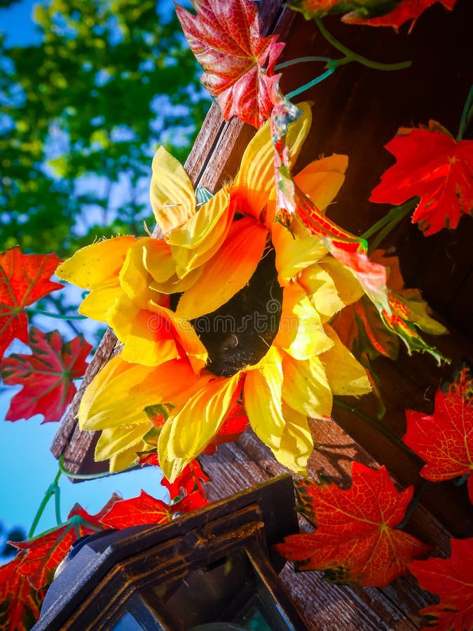 Minecraft Water Leaf Block Stock Photos - Free & Royalty-Free Stock ...