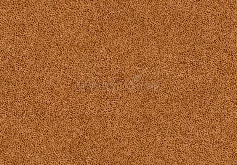 Imitation Leather Tileable stock photo. Image of natural - 37562936