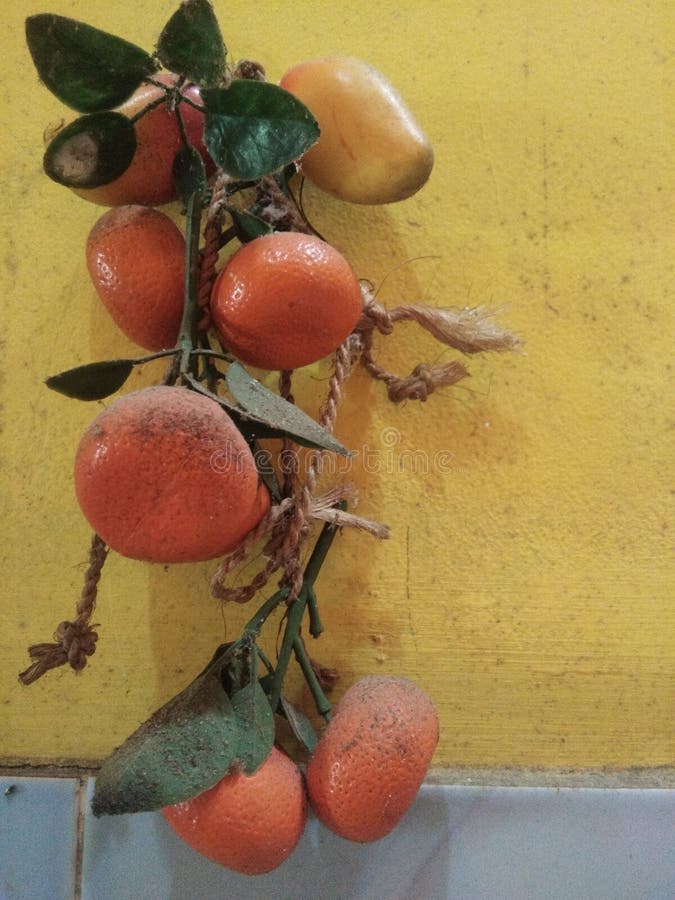 Imitation Orange Fruit and Dirty Orange Mango Fruit Hanging on the ...
