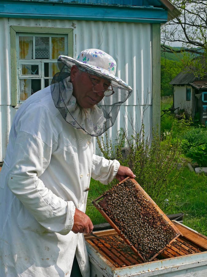Imker 14 stockfoto. Bild von bienen, kasten, schutzkappe - 3940454