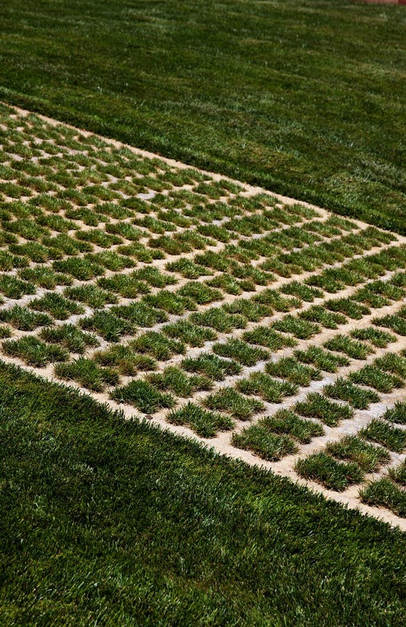Immaculate Lawn at the Citadel Victoria Gozo Stock Photo - Image of ...