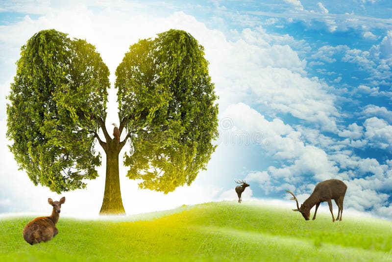 Immagini a Forma Di Albero Di Verde Del Polmone, Concetti Medici ... Immagini a Forma Di Albero Di Verde Del Polmone, Concetti Medici ...