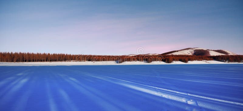 Immense Forest and Snowland Stock Image - Image of scenery, snowland ...