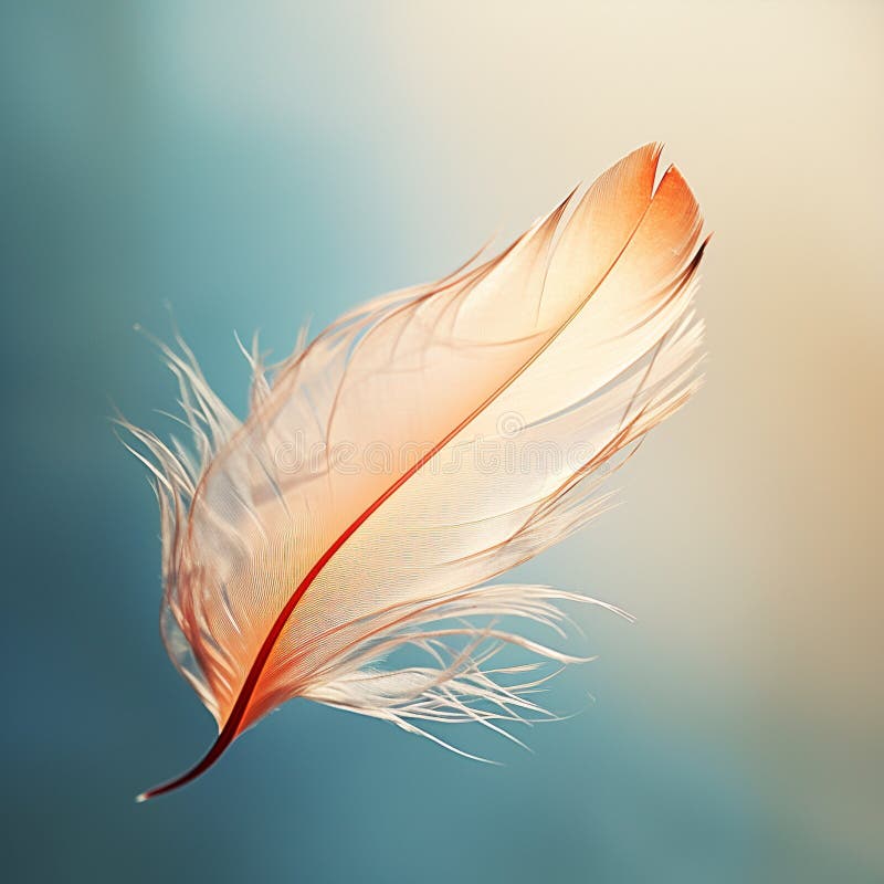 A Delicate Feather Floating in the Wind Stock Illustration ...