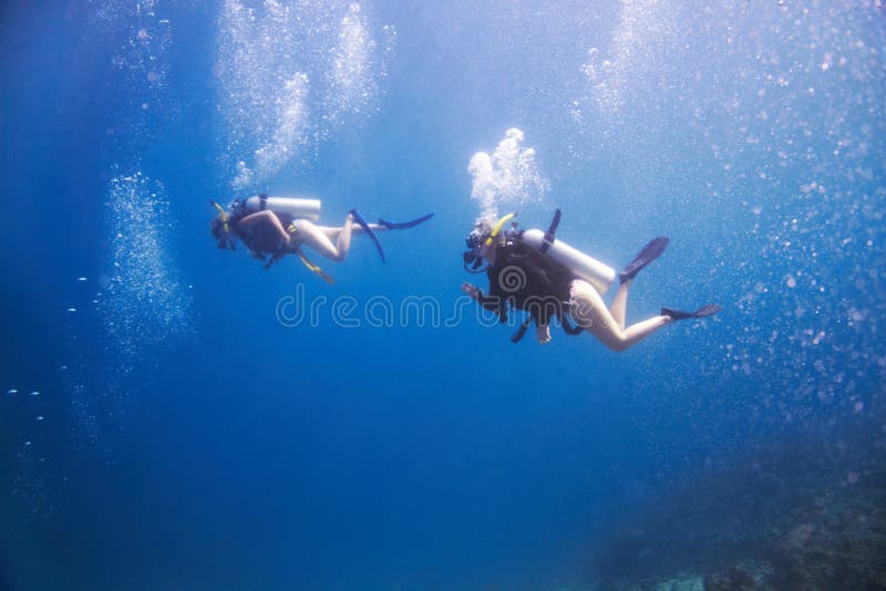 Immersed in the Deep Blue. Two Scuba Divers Float Peacfully in the Deep ...