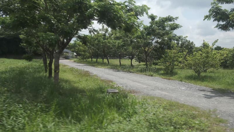 Immersive Footage Captures a Walk through Trees, Giving the Illusion of ...