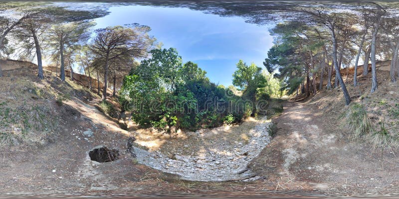 Immersive Nature: Serene Beauty of Trees and River in 360-Degree ...