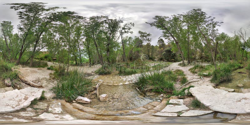 Immersive Nature: Serene Beauty of Trees and River in 360-Degree ...