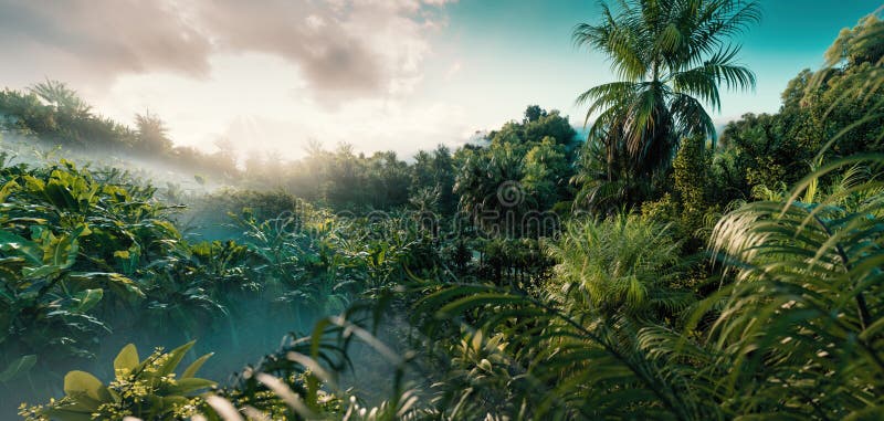 Immersive Sunset View through the Dense, Misty Jungle: a First-Person ...