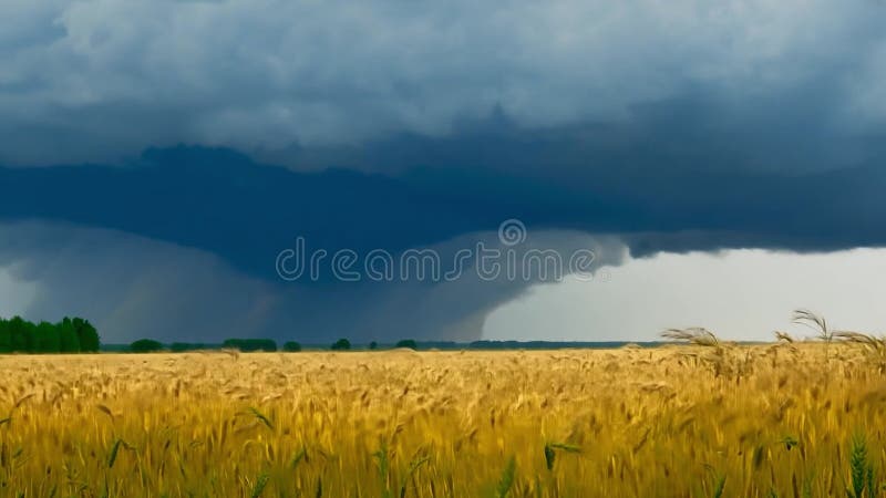 Imminent Tornado Forming Over Wheat Field during Storm Stock Video ...