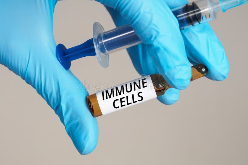Immune Cells Text Meaning Explanation Vaccination Stock Image - Image ...
